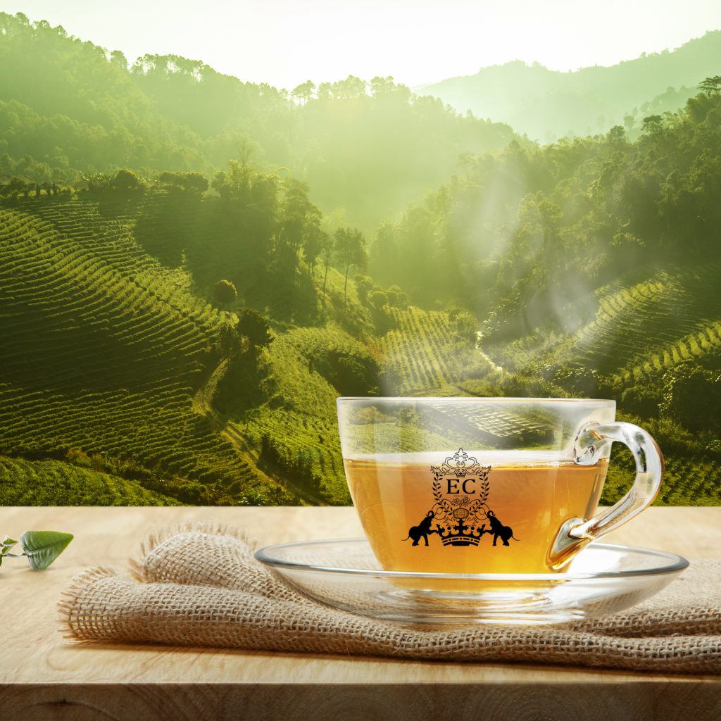 Ceylon Single Estate Tea | Elephant Chateau - Premium Ceylon Tea ...